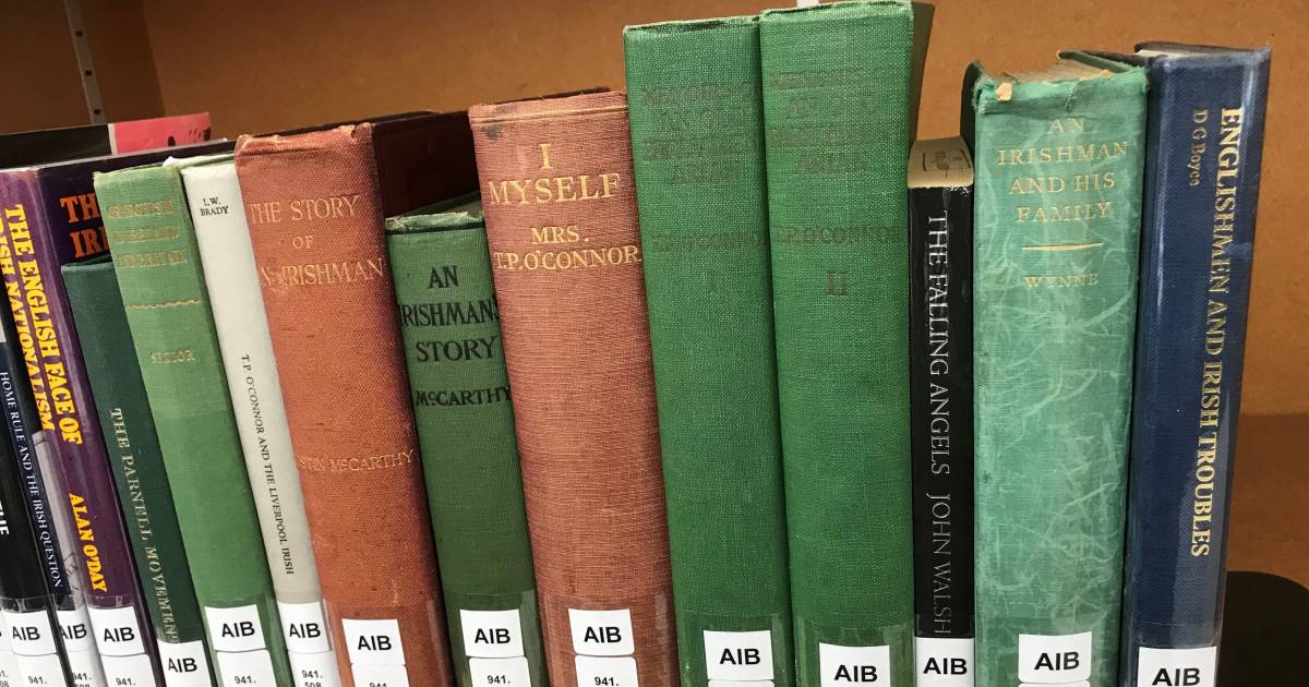 Cuimhne team visit Irish diaspora archive - Irish in Britain