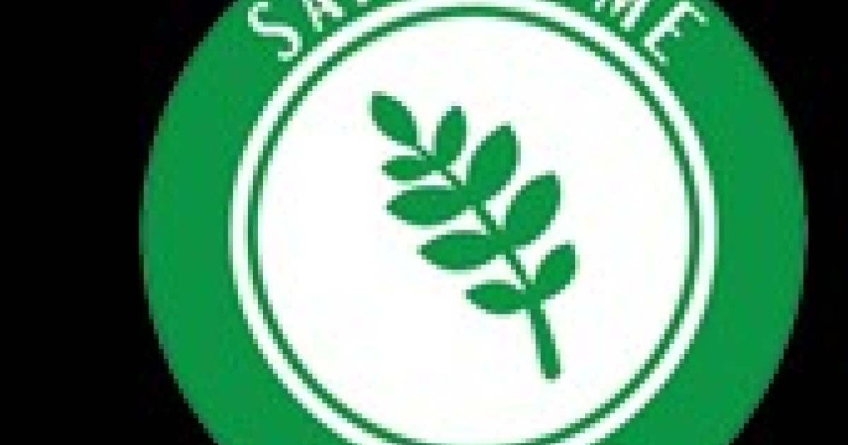 Safe Home Ireland - Irish in Britain